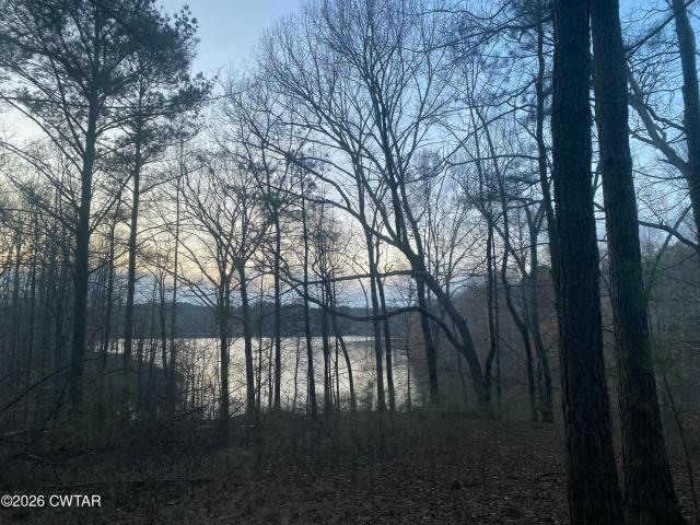 920 Strike King Dr, Cedar Grove, TN 38321 | MLS #2601 | Compass
