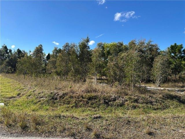 920 Panda Dr, Lehigh Acres, FL 33974