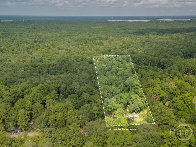 920 Pine Needle Drive