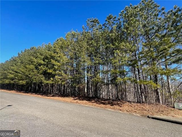 920 Whistler Ln, Unit 68, Canton, GA 30114 | MLS #10639