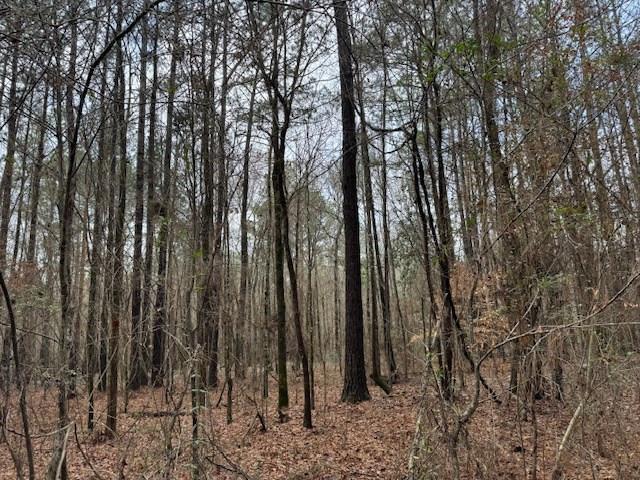 920a Auburn Drive