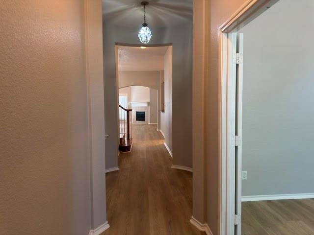 9217 Amber Downs Drive