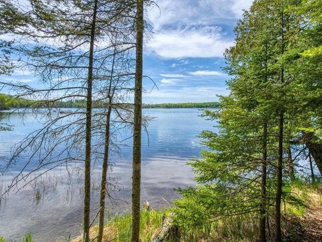 9217 Bald Eagle Rd, Presque Isle, WI 54557
