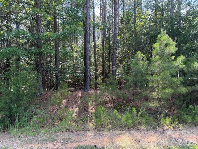 9212 Rustic Creek Trail