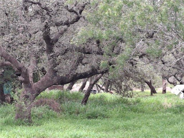 9213 Pvt 6005 7B Rd Lot Tr, Papalote, TX 78387