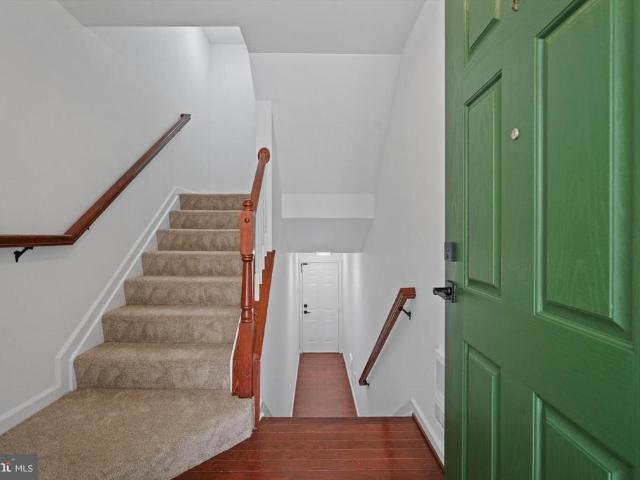 921 Pine Forest Lane