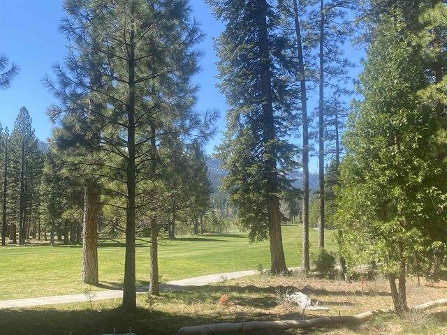 921 Prospector Dr Lot 4, Clio, CA 96106