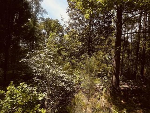 9224 Eisenhower Dr, Apex, NC 27539