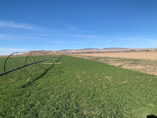 9225 S Avery Lynn Cir W Unit 5, Centerfield, UT 84622