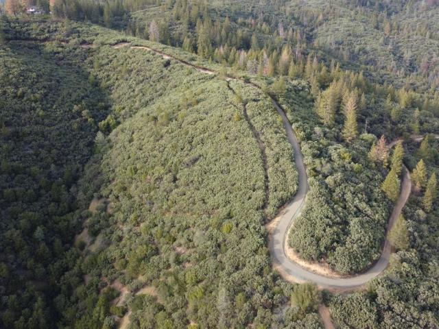 9220 Mule Skinner Rd, Placerville, CA 95667 | MLS #226010