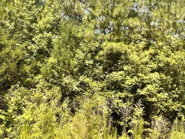 9220 Eisenhower Dr, Apex, NC 27539