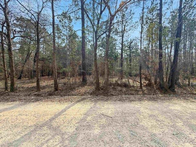 9220 Wingfield, Lumberton, TX 77657