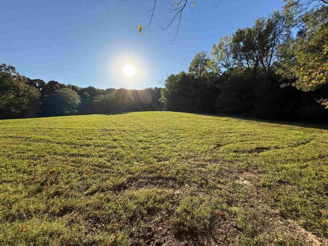 9171 collierville arlington rd
