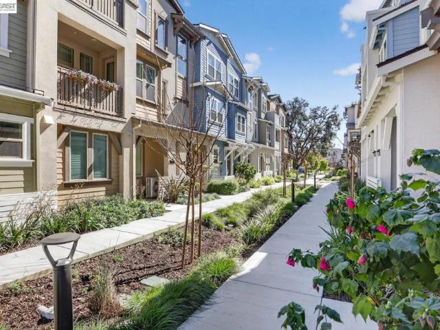 922 Noble Fir Ter 5