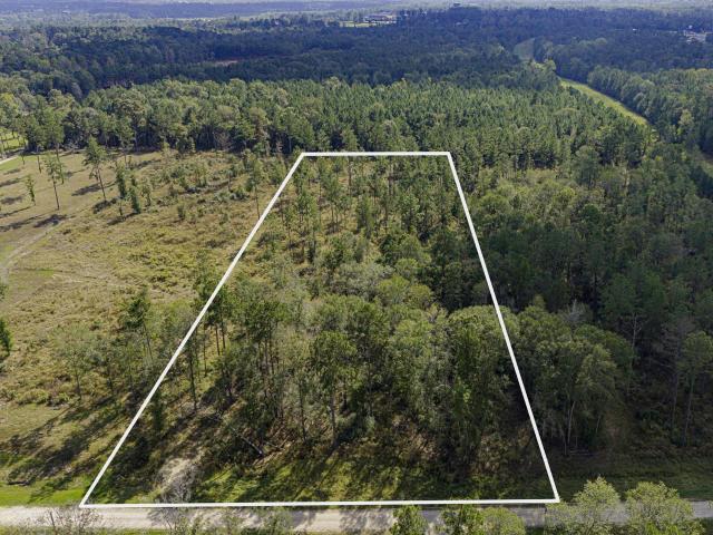 922 Rolling Pnes Dr, Livingston, TX 77351 | MLS #73748