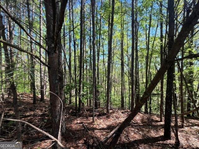 922 Whistler Ln, Unit 67, Canton, GA 30114 | MLS #10639