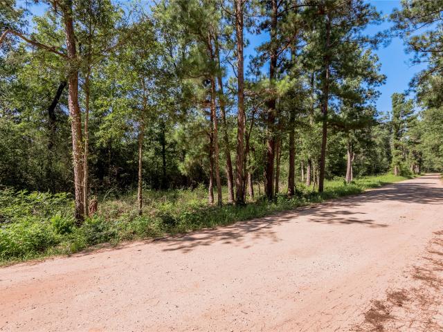 9238 Rocky Ridge Lane