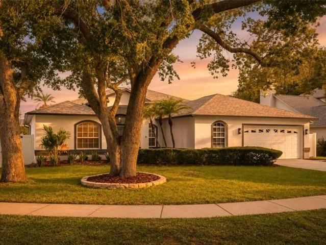9238 Sea Oaks Ct, Seminole, FL 33776