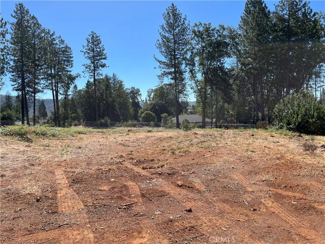 9238 Skyway Road