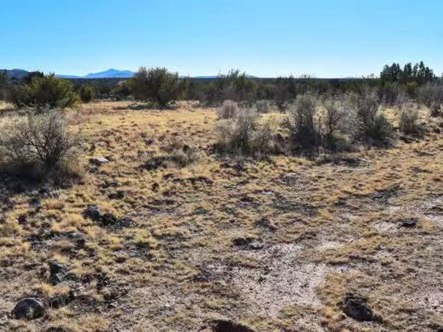 9230 State Route 64 #251, Williams, AZ 86046 MLS 198946