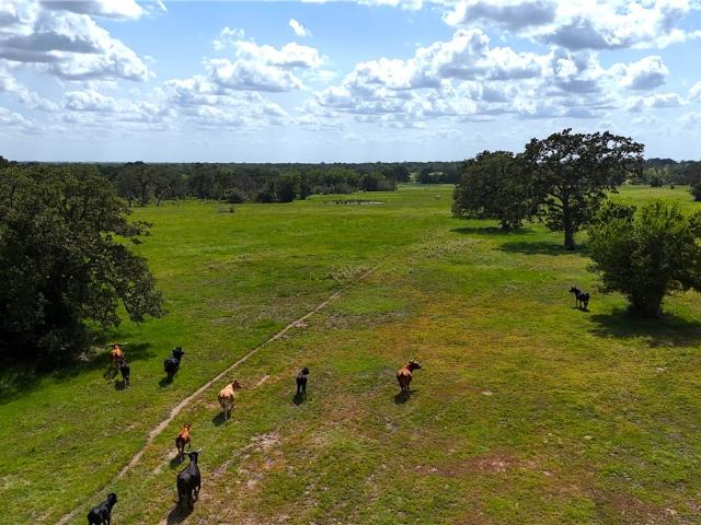 9233 County Road 103