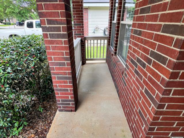 9242 Mare Country