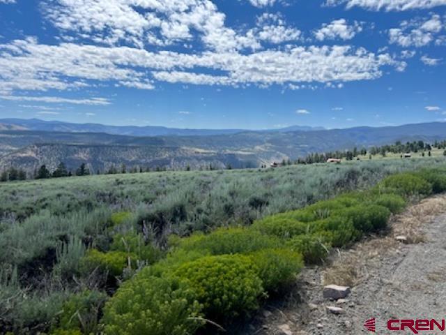 924 Cinammon Trail, Powderhorn, CO 81243 | MLS #823726 | Compass