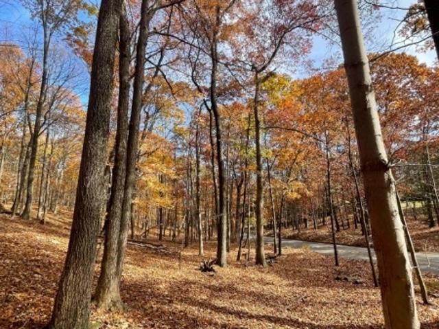924 Middleville Rd, Newton, NJ 07860 | MLS #4010 | Compass