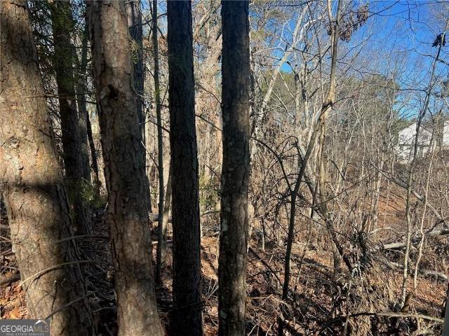 924 Whistler Ln, Unit 66, Canton, GA 30114 | MLS #10639