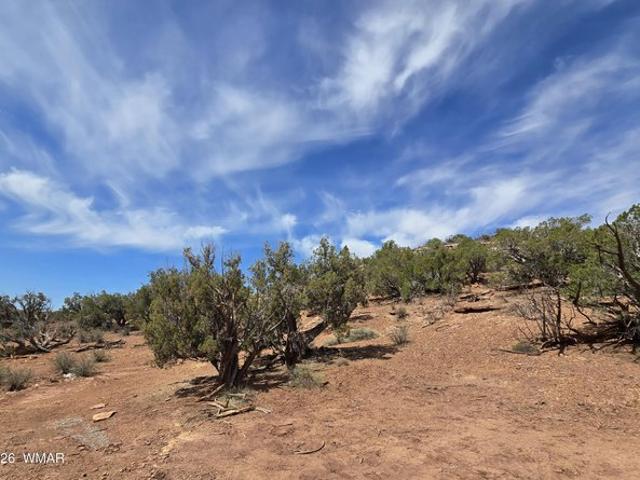 9255 Tonto Rd, Snowflake, AZ 85937