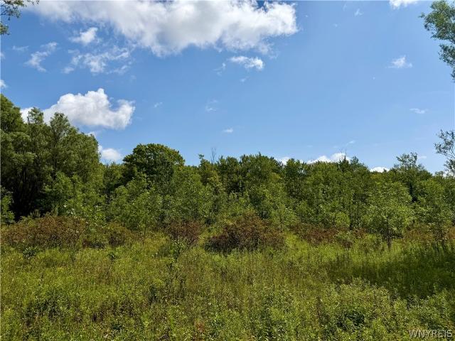 9259 Carpenter Road