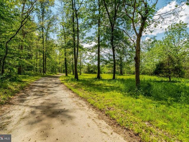 9253 cliff mills road # horse facility