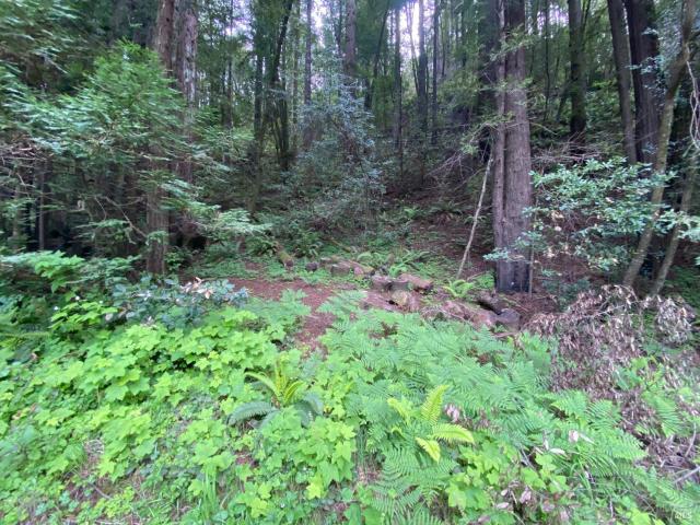 925 Cazadero Hwy, Cazadero, CA 95421 | MLS #325102
