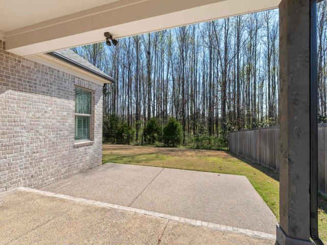 925 cypress vine cv