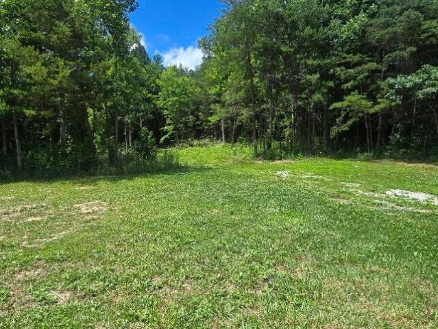 925 Anderson Hollow Rd