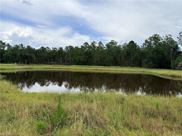 925 Purple Martin Dr, Naples, FL 34120