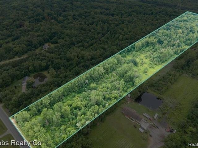 9265 Birch Run Rd, Arbela Township, MI 48746