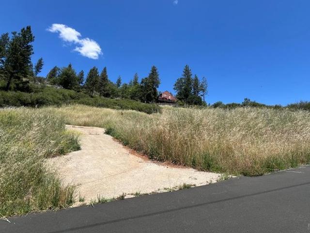 9284 Bleuss Way, Cobb, CA 95426