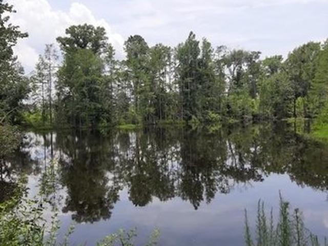 928 Mt Pleasant Ch Rd, Pearson, GA 31642