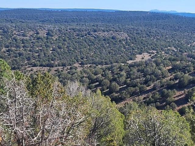 929 Forest Service Rd 721 A # 929