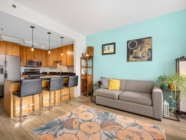 929 Portland Ave, Unit 309, Minneapolis, MN 55404 | MLS #7051 | Compass