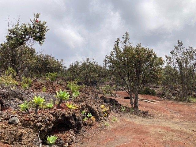 92 8484 Pineapple Pkwy, Ocean View, HI 96737
