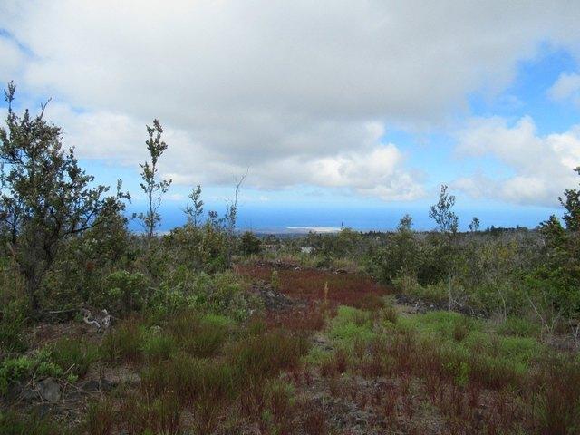 92 8643 Reef Pkwy, Ocean View, HI 96737