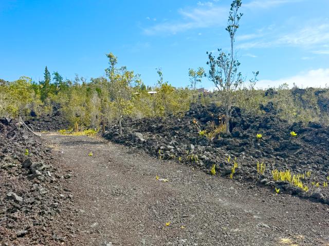 92 9032 Hawaii Blvd, Ocean View, HI 96704 | MLS #728537