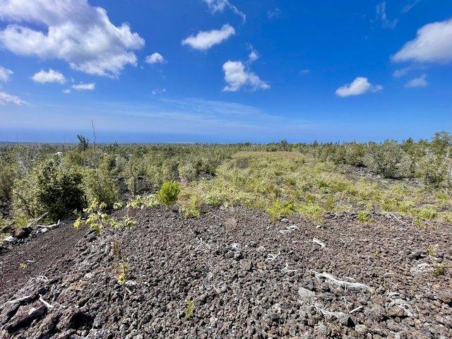 92 9079 Ginger Blossom Ln, Ocean View, HI 96737