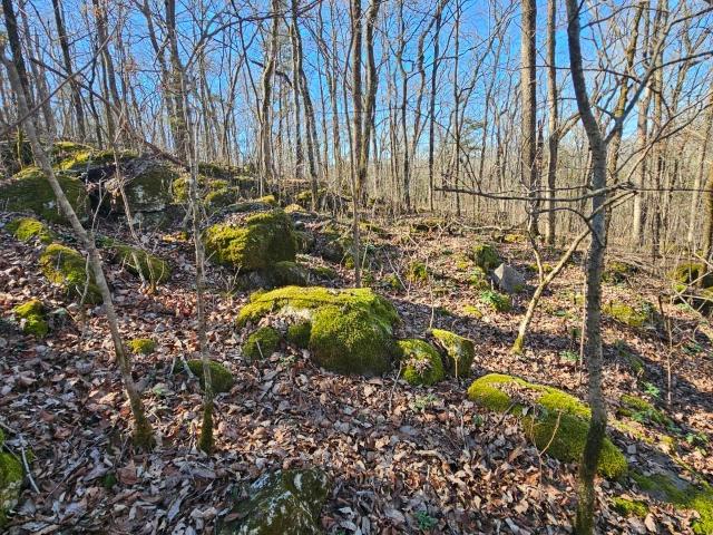92 Acres All Jersey Road