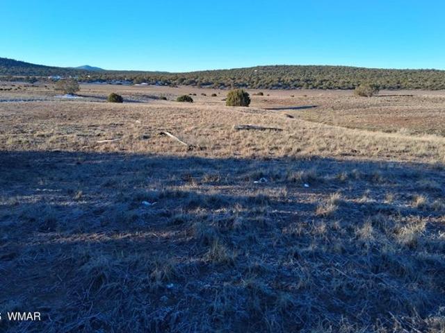 92 County Road 8223, Concho, AZ 85924