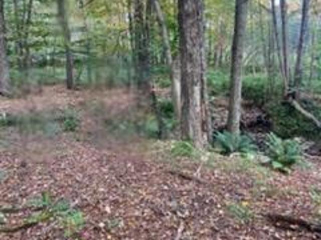 92 Cr, Fremont Center, NY 12736 | MLS #950426