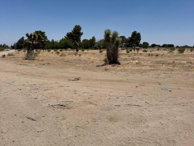 92nd Ave E, Ste VIC, Littlerock, CA 93543 | MLS #26000