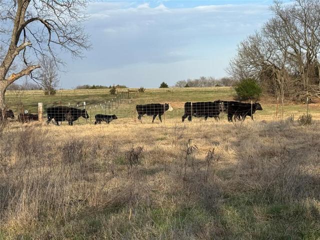 9304 County Road 3440